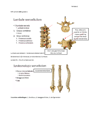 Protocol MRI LWK - lumbale wervelkolom mri - Protocol MRI LWK De ...
