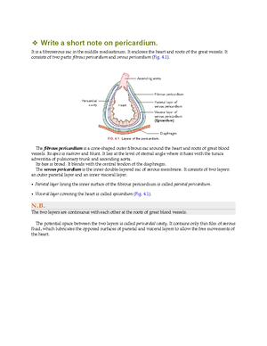 Selective Anatomy Vol 2-17 - Write a short note on the Hesselbach’s ...