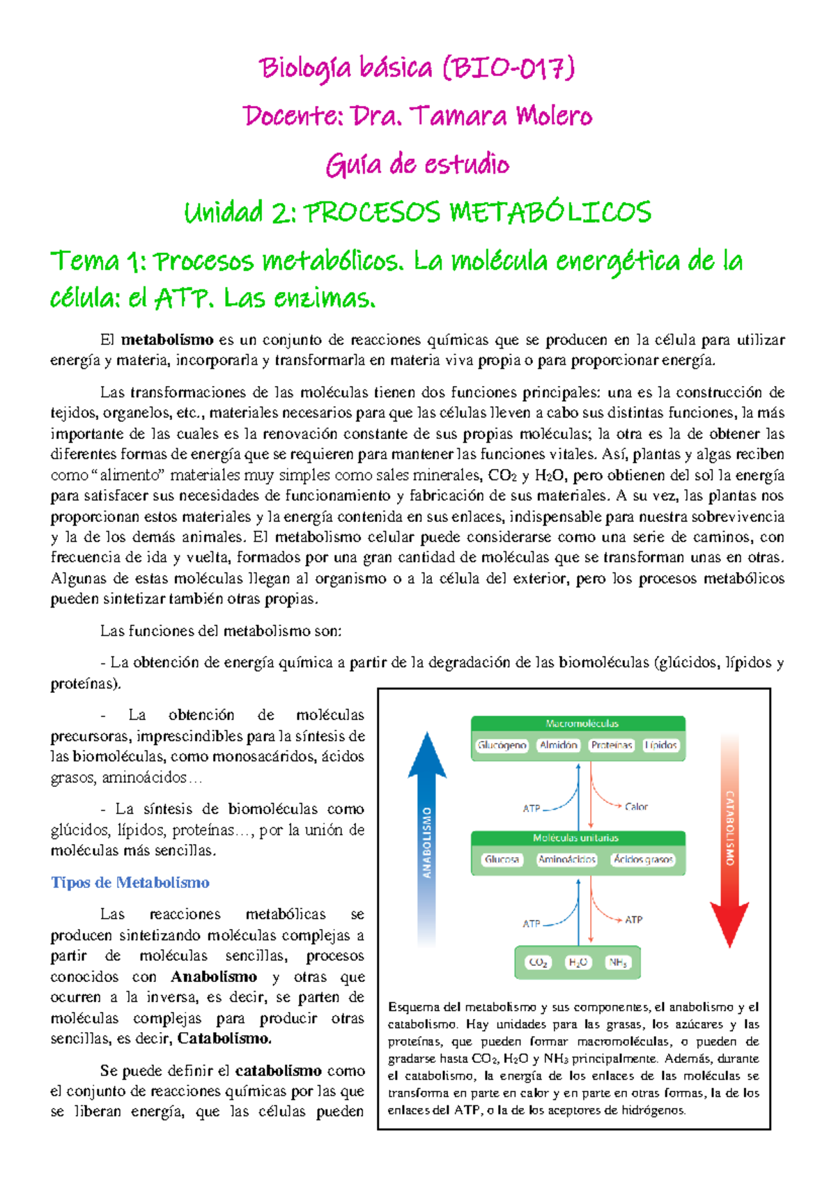 Unidad 2. Procesos metabólicos - Biología básica (BIO-017) Docente: Dra ...