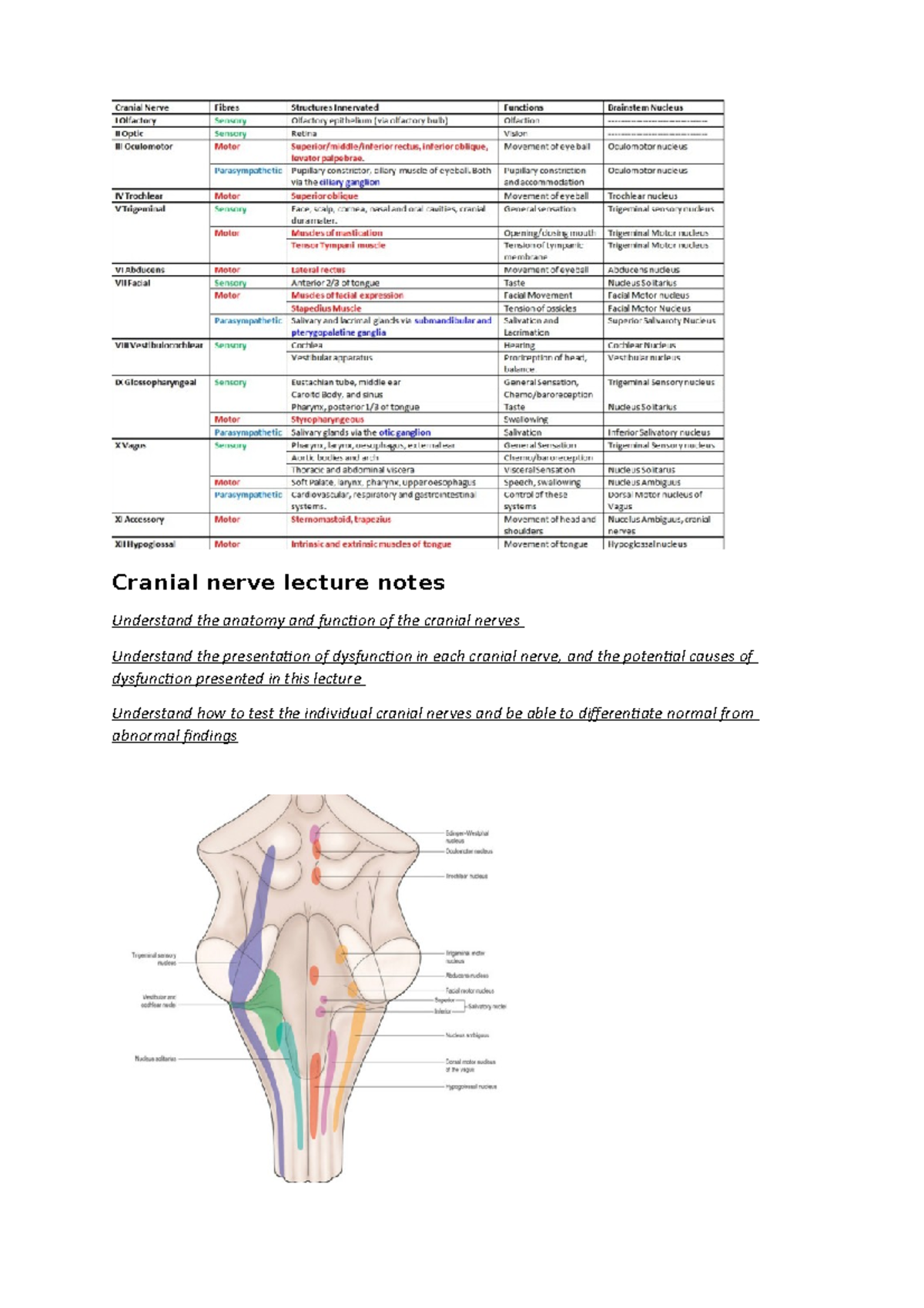 Cranial nerve lecture notes - Cranial nerve lecture notes Understand ...