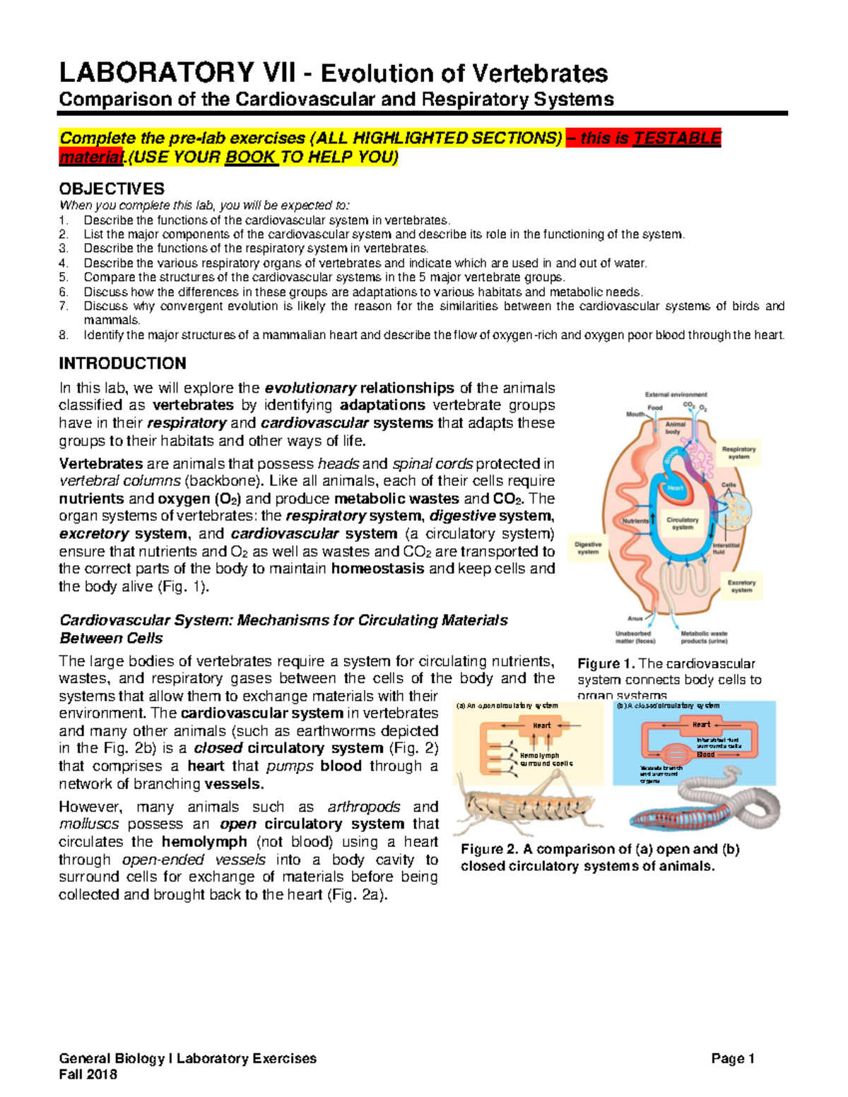 Lab 7 animals - Lab - General Biology I Laboratory Exercises Fall 2018 ...