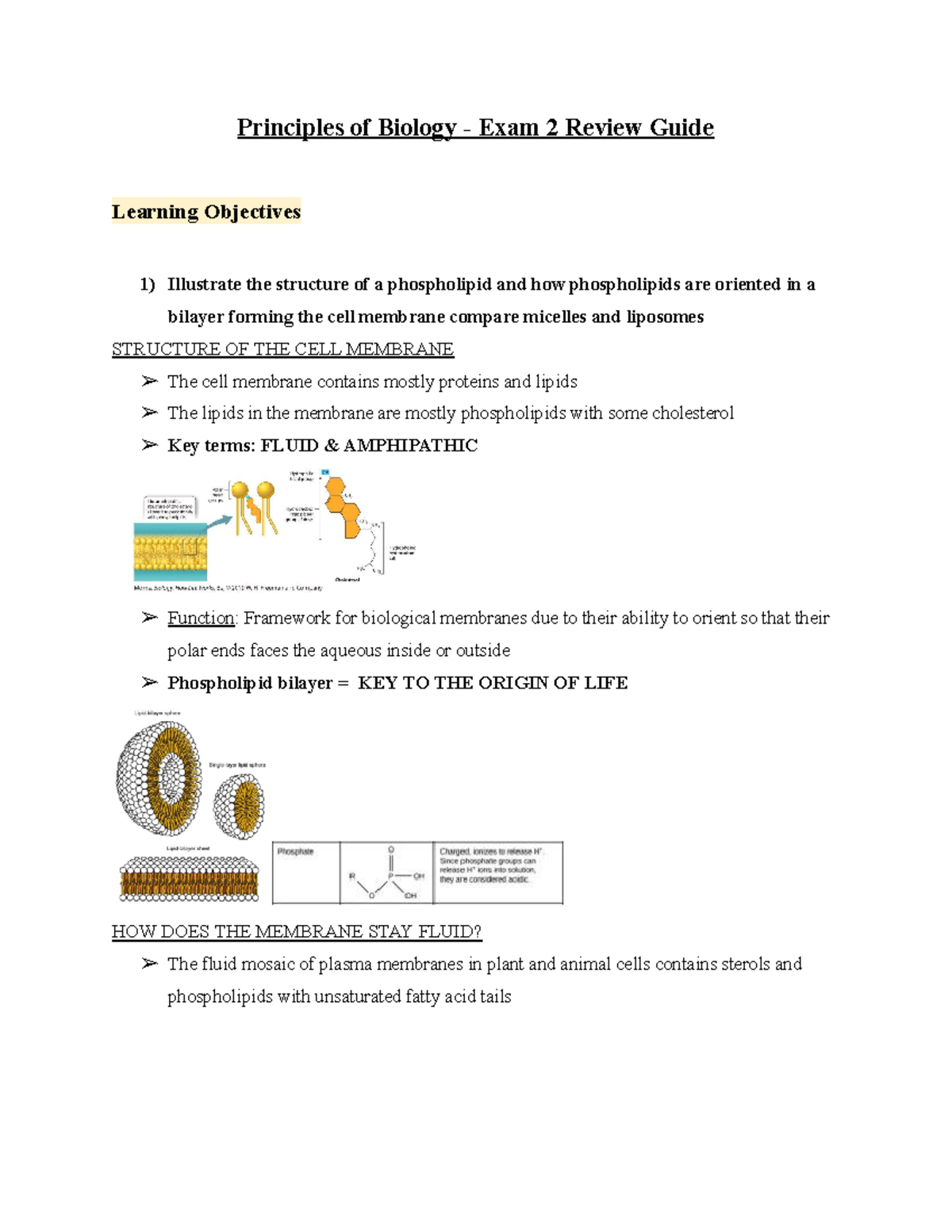 Exam 2 Review Guide - Principles of Biology - Exam 2 Review Guide Learning Objectives Illustrate ...