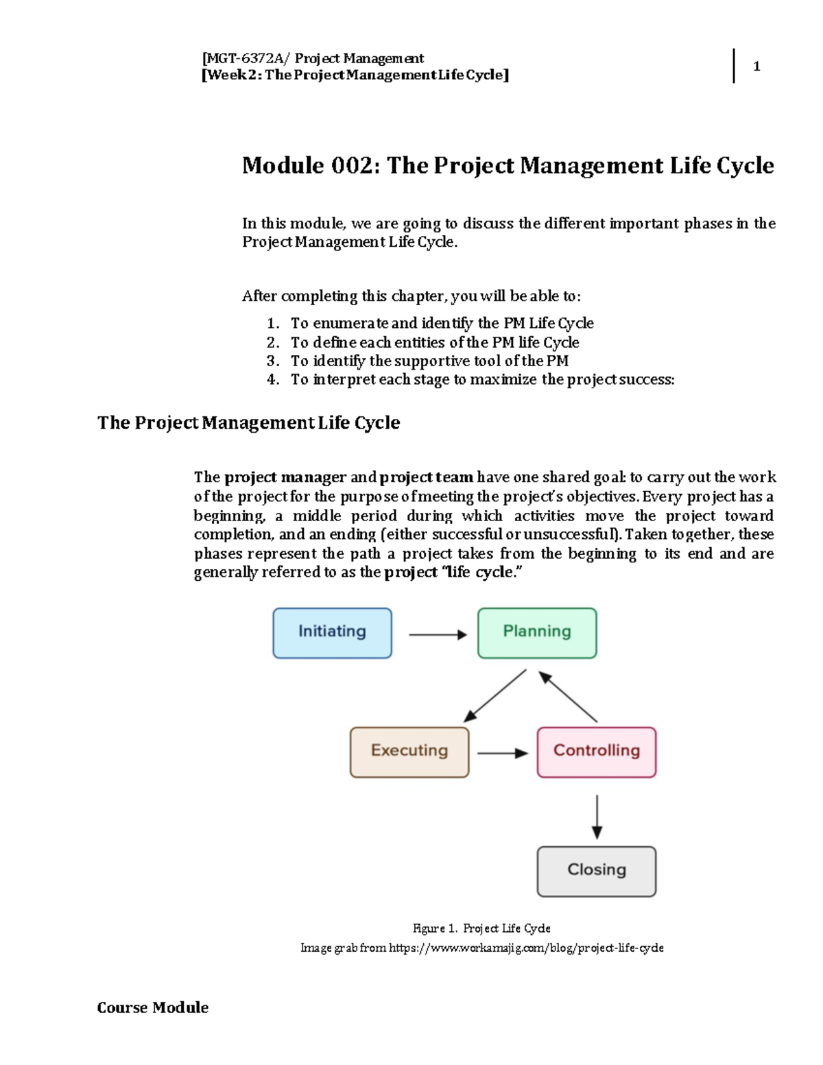 Week 2 - The Project Life Cycle (Phases) - [MGT-6372A/ Project ...