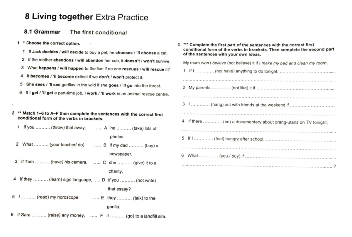 Ejercicios Condicionales I - 8 Living together Extra Practice 8 Grammar ...