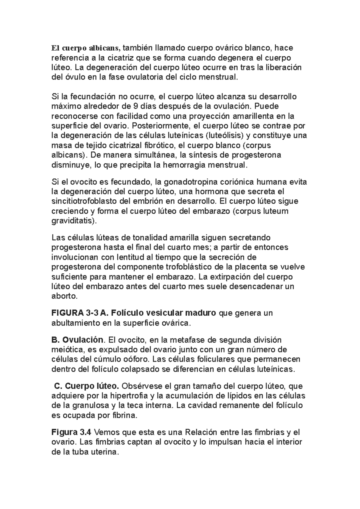 El cuerpo blanco (albicans) - El cuerpo albicans, también llamado ...