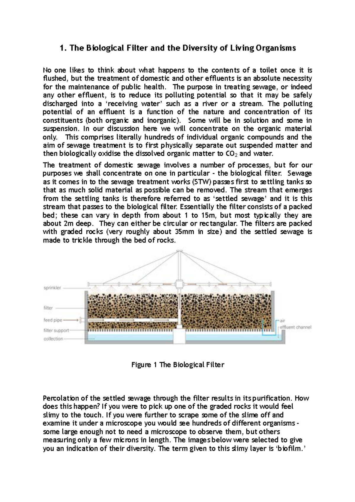 3 - The Biological Filter and the Diversity of Living Organisms - 1 ...
