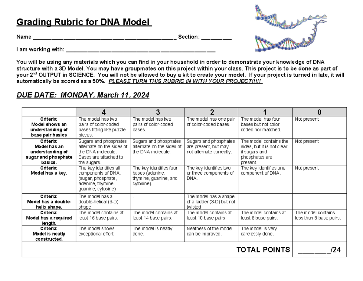Grading Rubric for DNA Model - You may have groupmates on this project ...