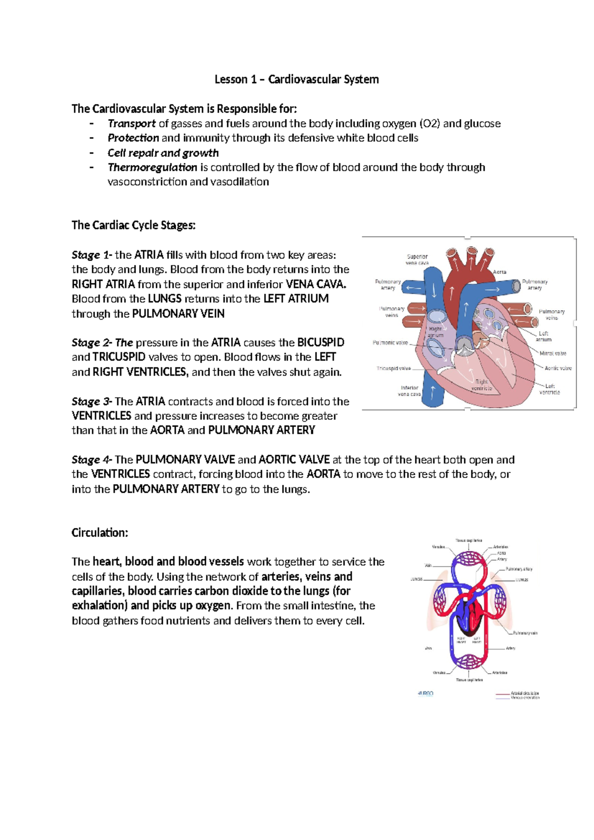 Cardiovascular Disease - Lesson 1 – Cardiovascular System The ...