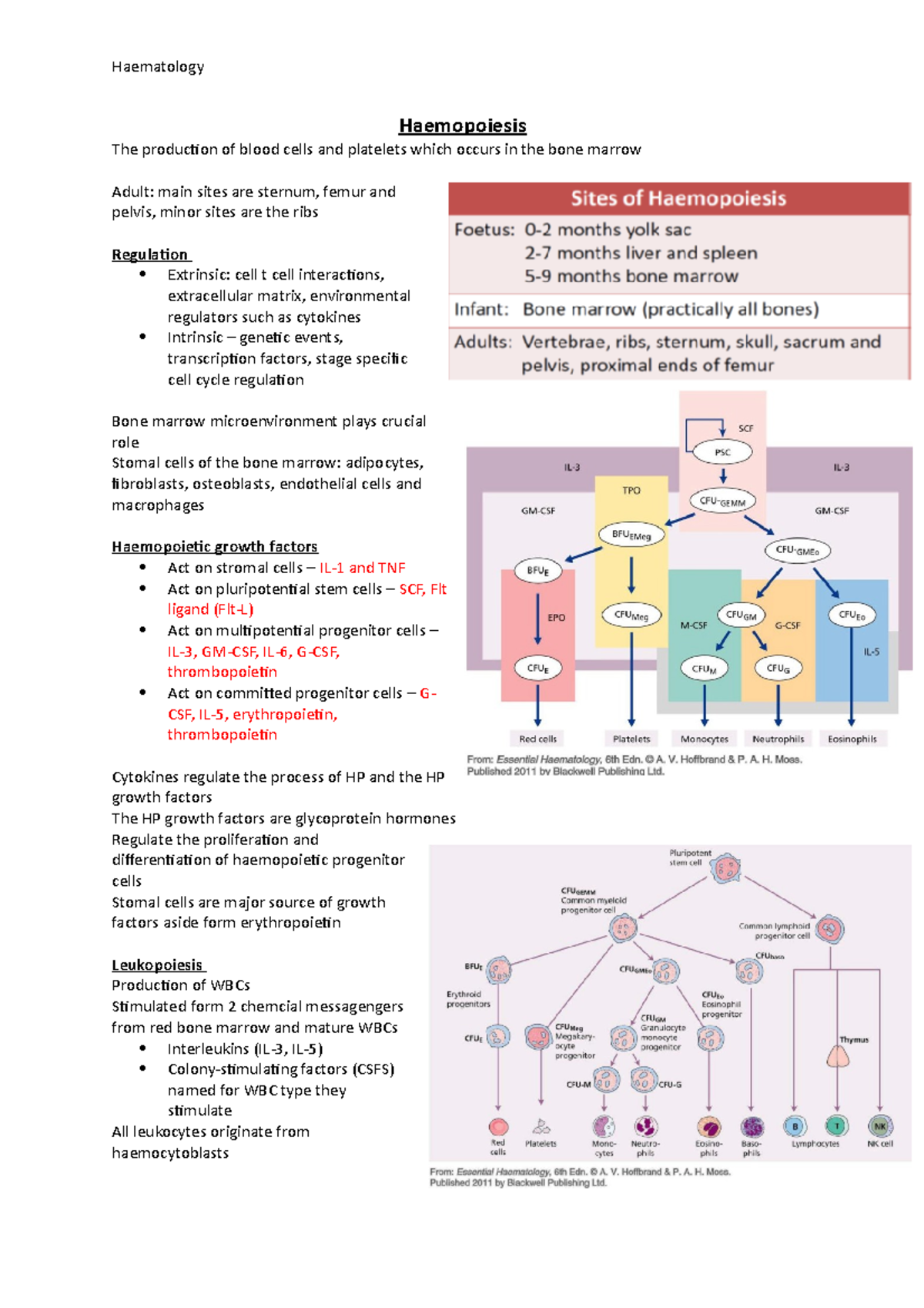 Haemopoiesis - Haemopoiesis The production of blood cells and platelets ...