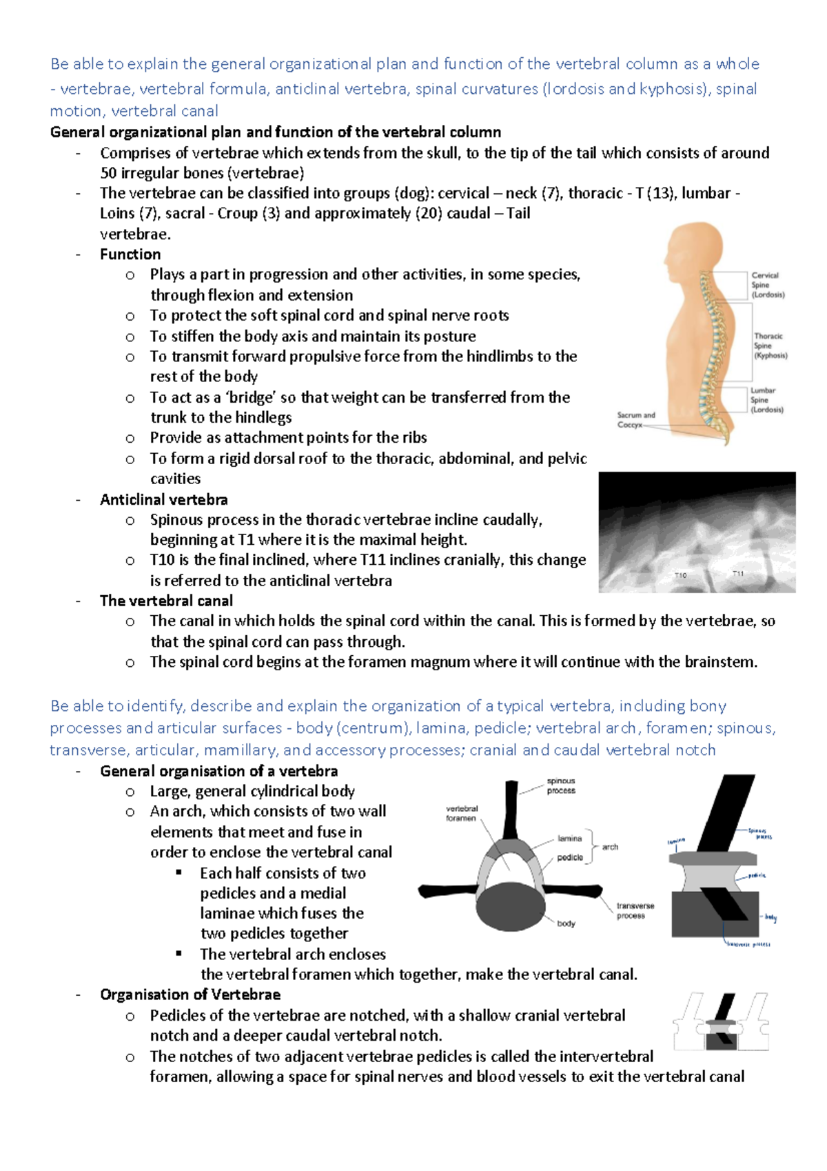 Axial and Abdominal - Be able to explain the general organizational ...