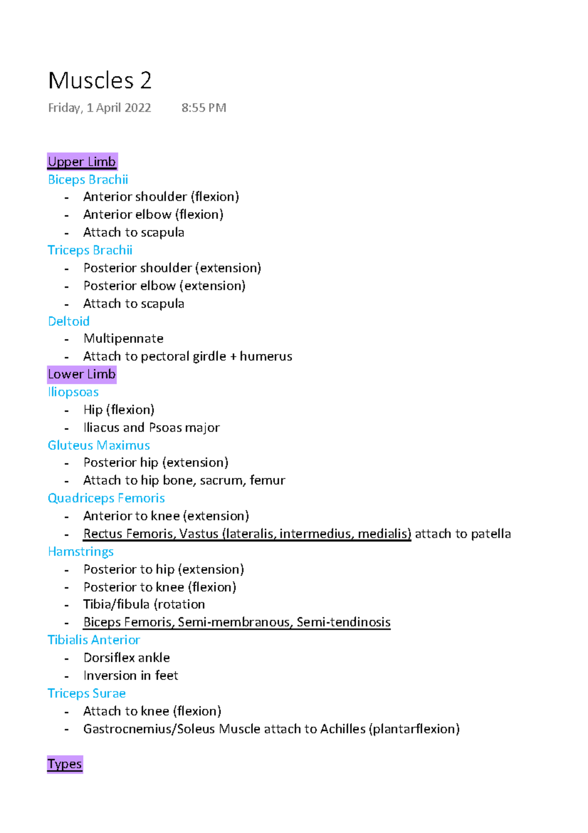 Hubs191 muscles - Upper Limb Biceps Brachii - Anterior shoulder ...