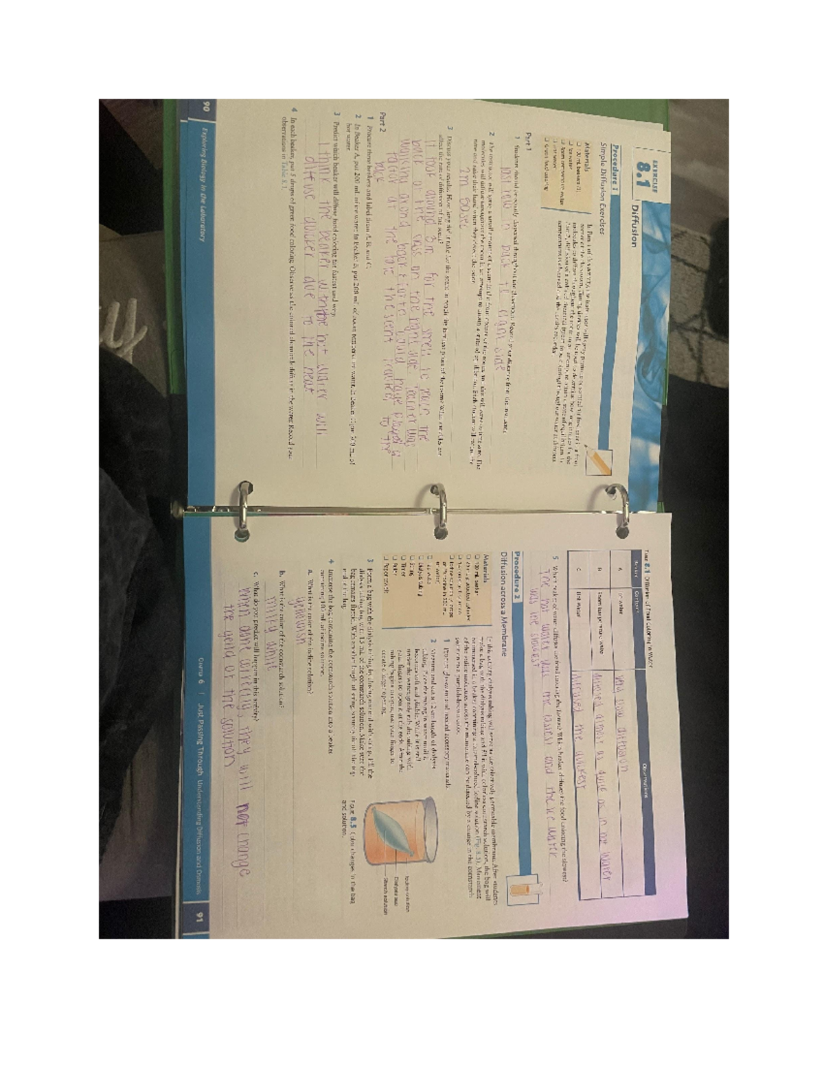 Lab Activity 6 Assignment Bio 189 Studocu