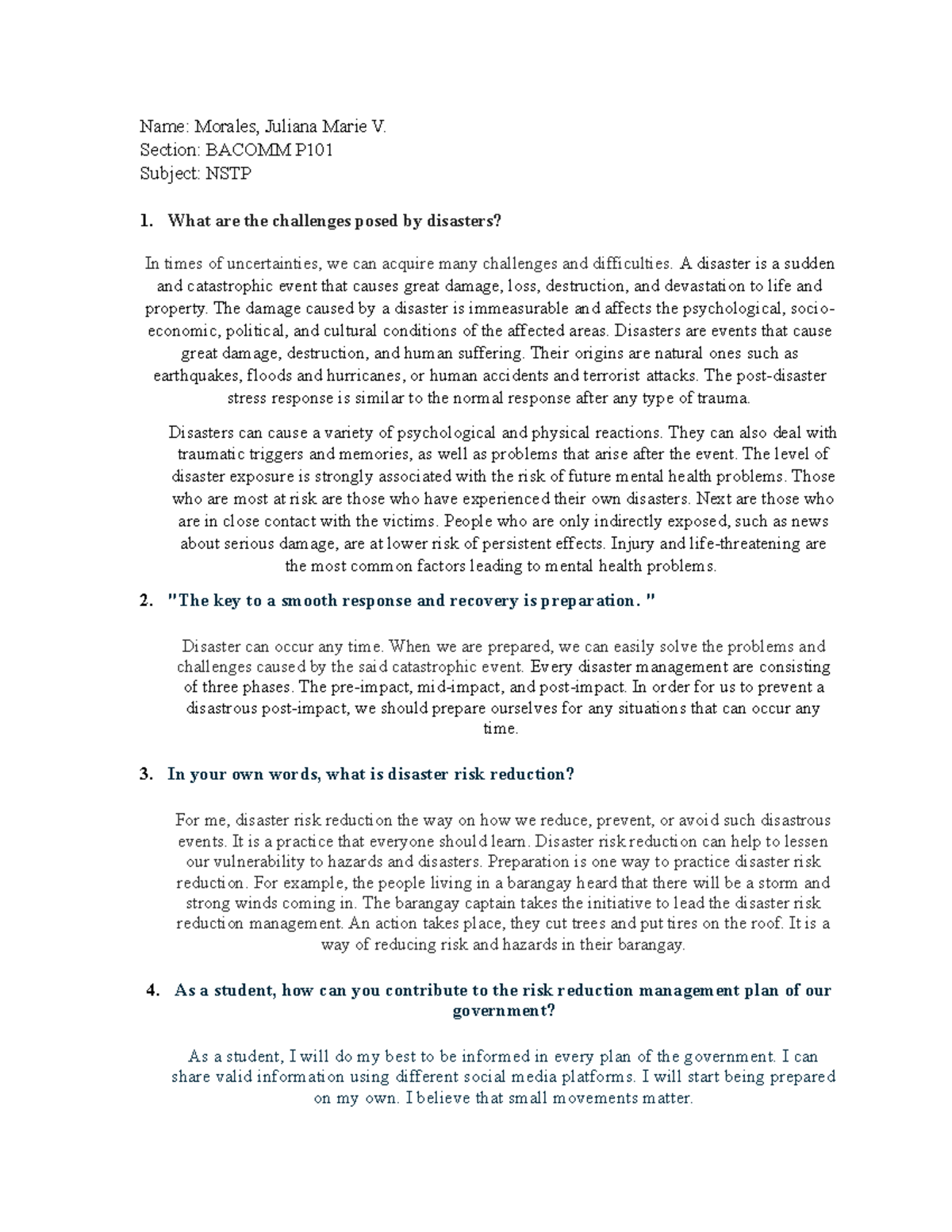 DRR Essay - Grade: 90 - Education - Studocu