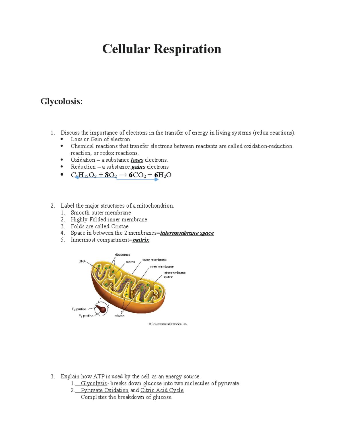 Cellular Respiration - Cellular Respiration Glycolosis: 1. Discuss the ...
