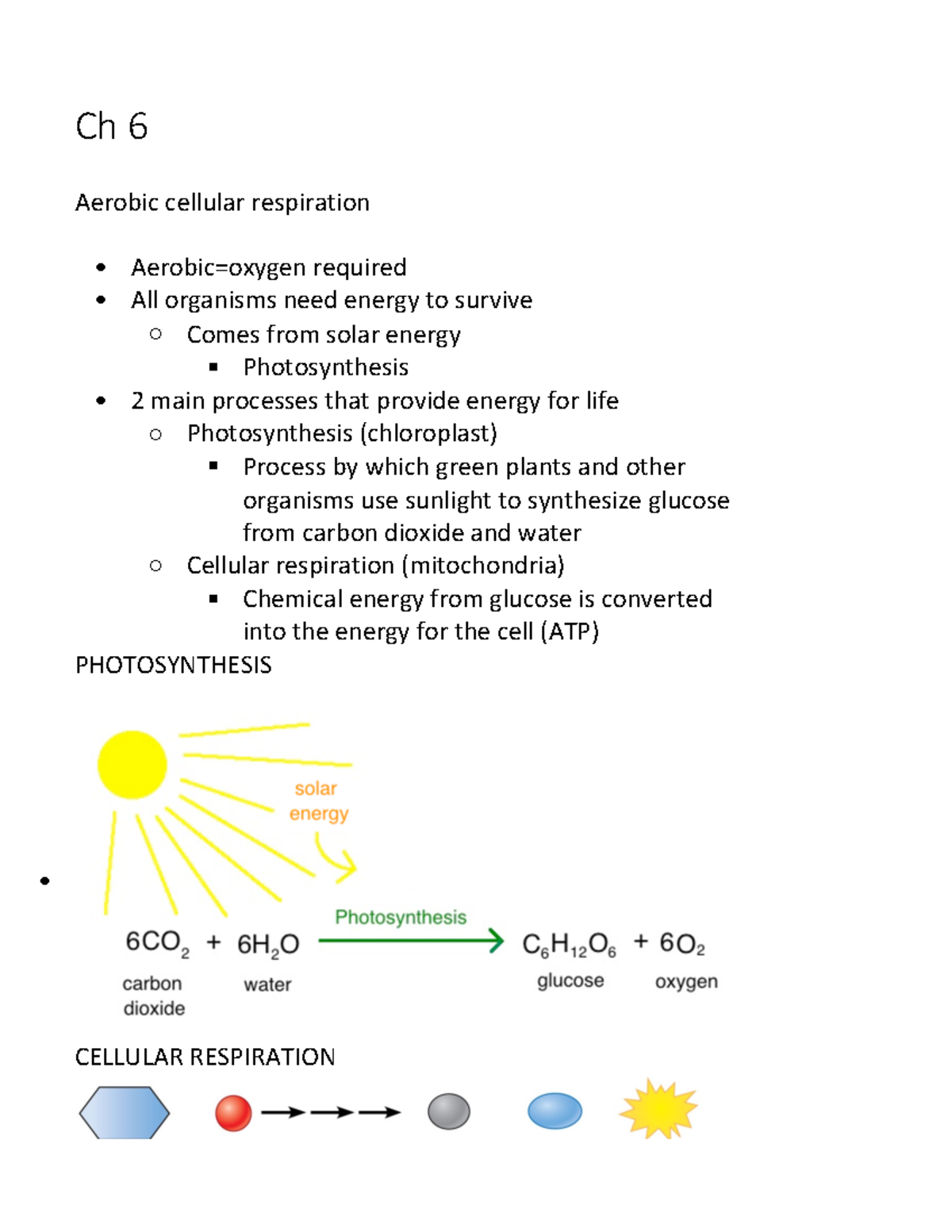 Ch 6 - ch 6 lecture notes - Aerobic cellular respiration Aerobic=oxygen ...