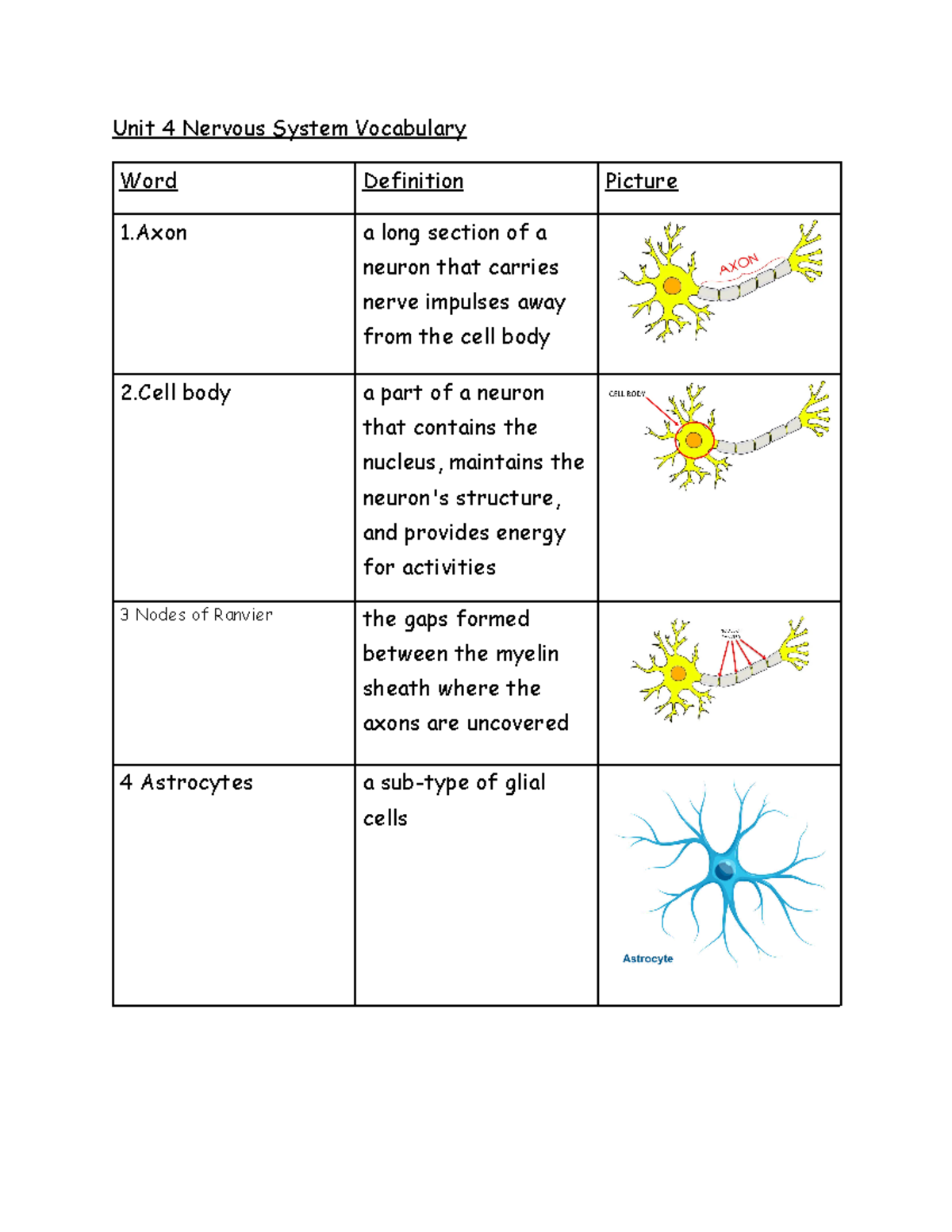 Nervous System Vocabulary Chart - Unit 4 Nervous System Vocabulary Word ...