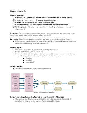 Consumer Behaviour Chapter 4 Chapter 4 Motivation And Affect Chapter