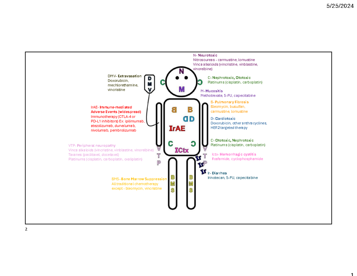 Chemo man - 5/25/ IrAE- Immune-mediated Adverse Events (widespread ...