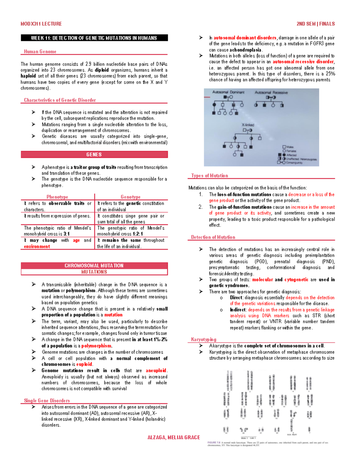 DETECTION OF MUTATIONS IN HUMAN GENOME - WEEK 11: DETECTION OF GENETIC ...