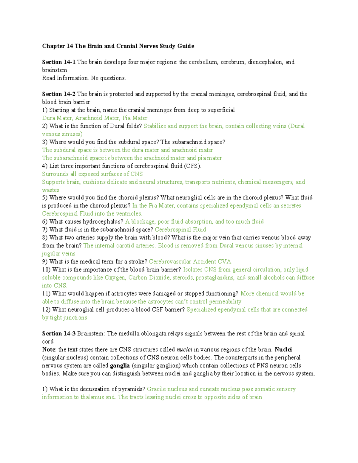 Chapter 14 The Brain and Cranial Nerves Study Guide Spring 2024 ...