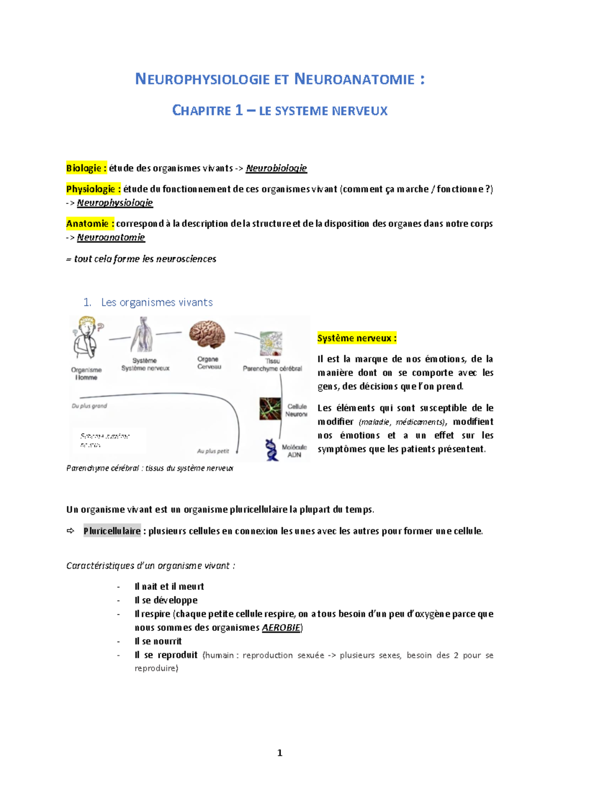 Chapitre 1 - Le Système Nerveux - NEUROPHYSIOLOGIE ET NEUROANATOMIE ...