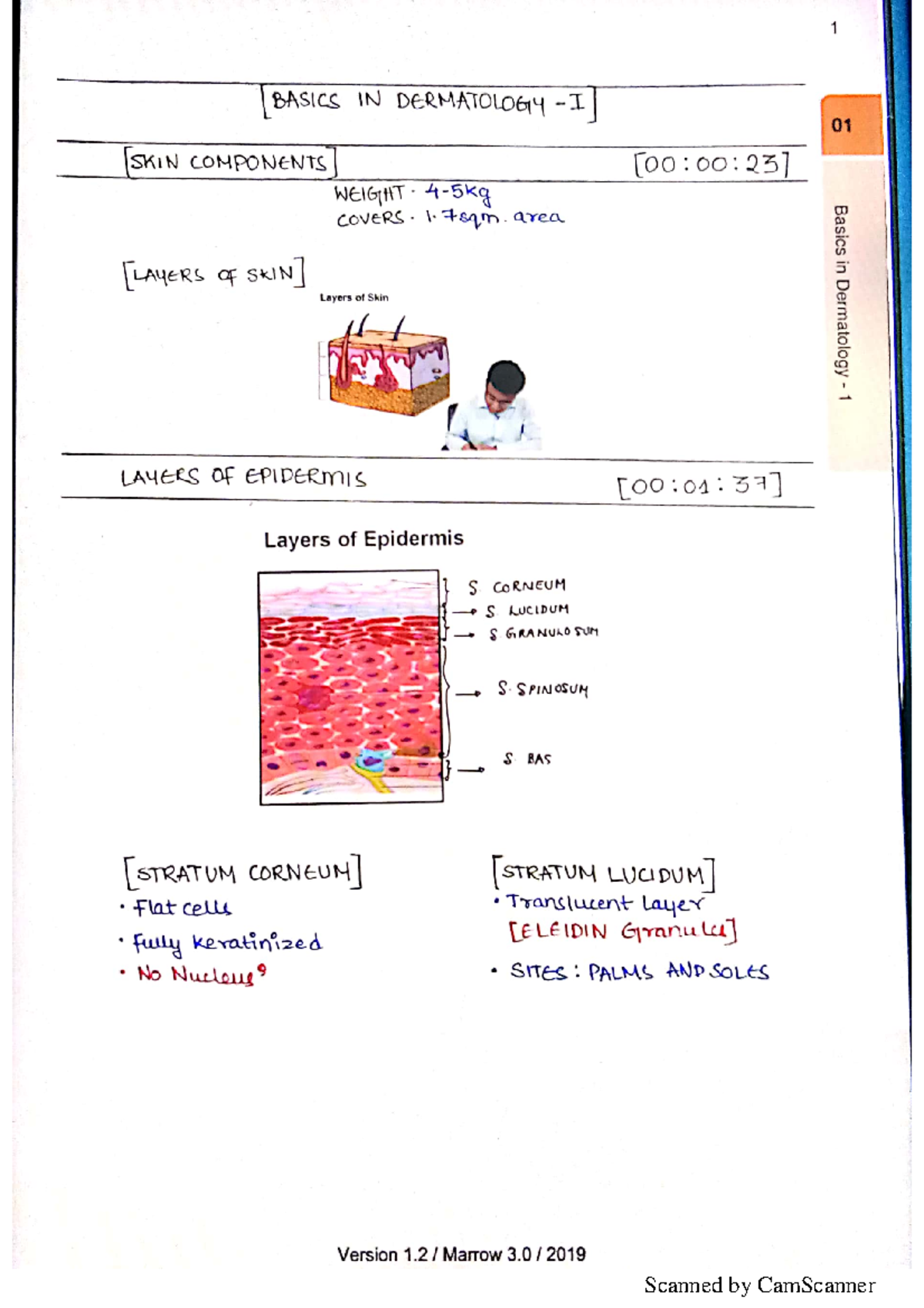 Dermatology lecture notes - Studocu