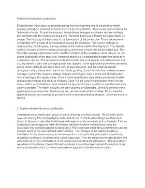 Alzheimer's Dementia SOAP Progress Note Example - Note: This Progress ...