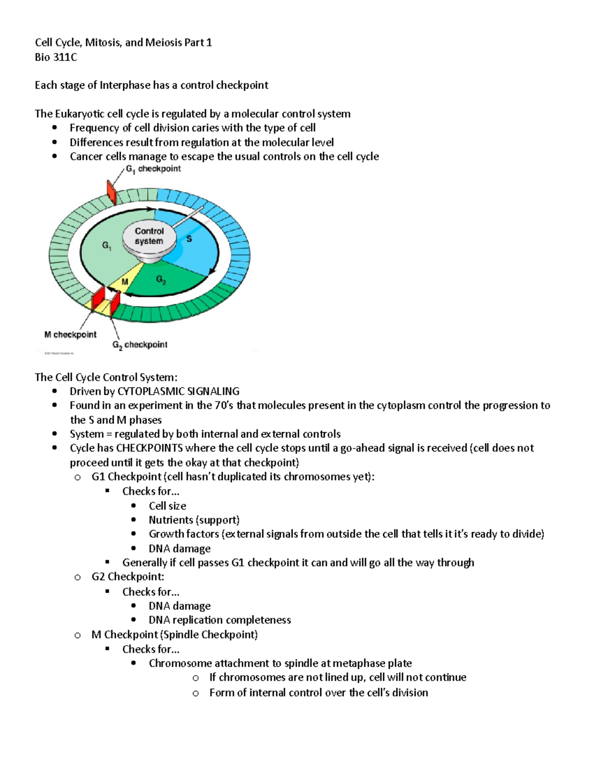 Part 1 Cell Cycle, Mitosis, Meiosis - Cell Cycle, Mitosis, and Meiosis ...