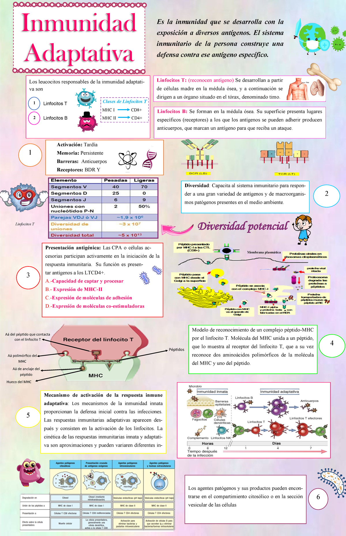 Infografia infografia - Inmunidad Adaptativa Es la inmunidad que se desarrolla con la exposición ...