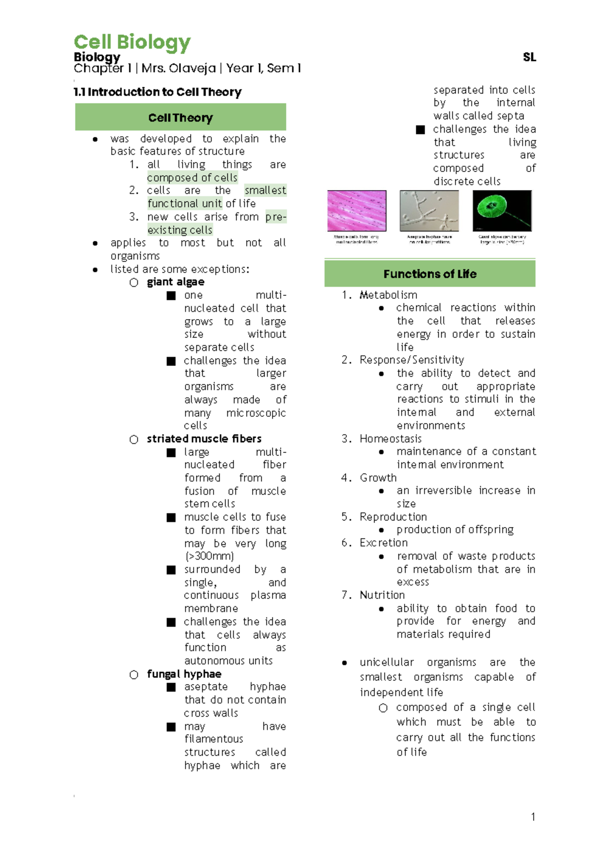 1 - Cell Biology - Cell Biology Biology SL Chapter 1 | Mrs. Olaveja ...