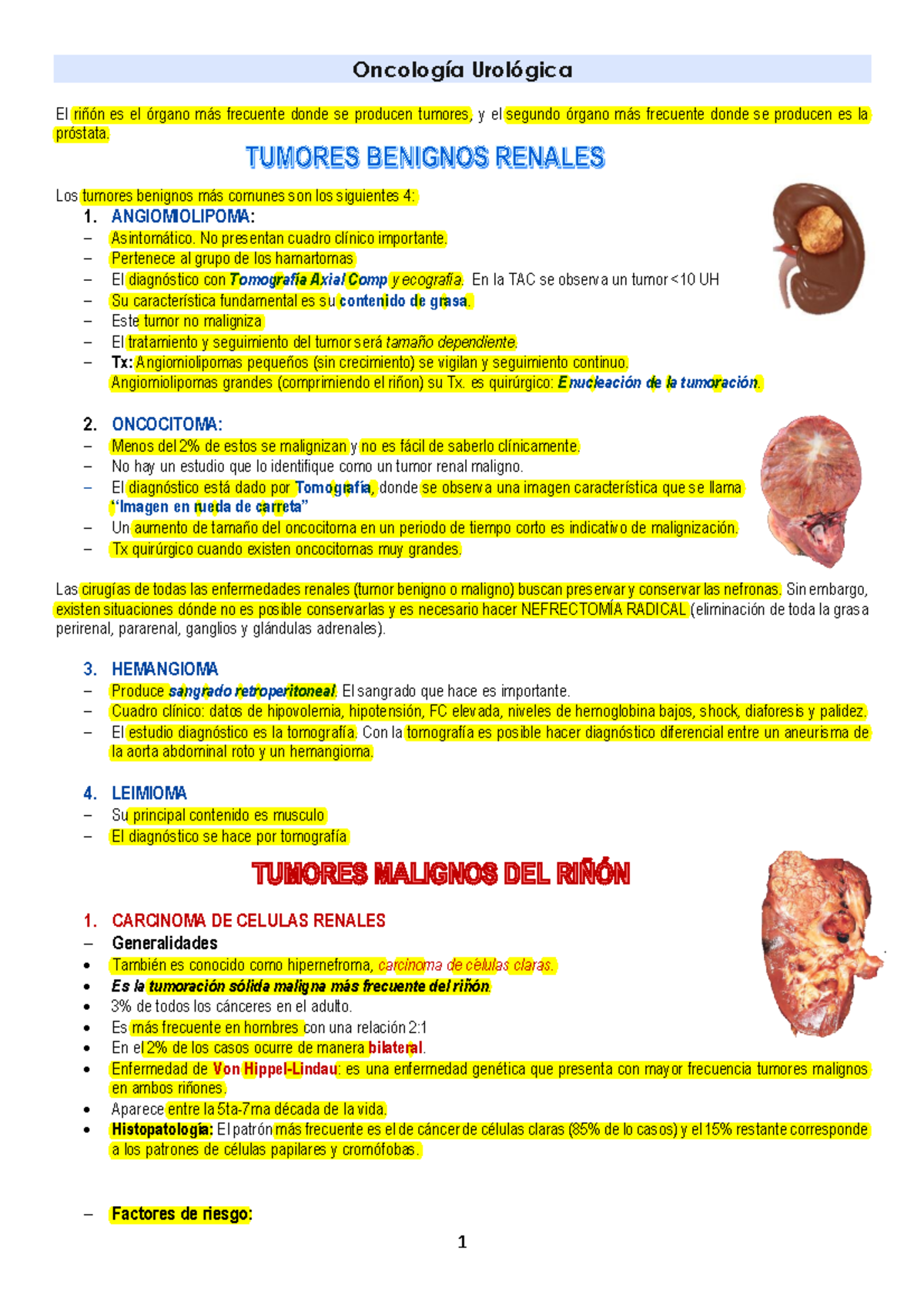 Tumores DEL Tracto Urinario - Oncología Urológica El riñón es el órgano ...