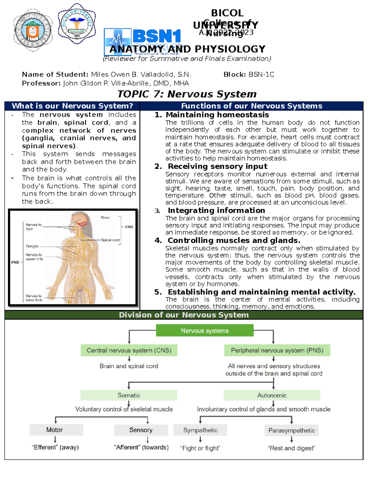 Ana Phy (Nerves) - Topic: Nerve Tissue and the Nervous System - ANATOMY ...
