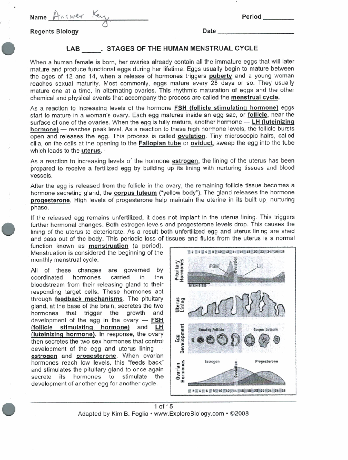 CCF05282019 - Cheat sheets - Name Answer Key Period Regents Biology ...