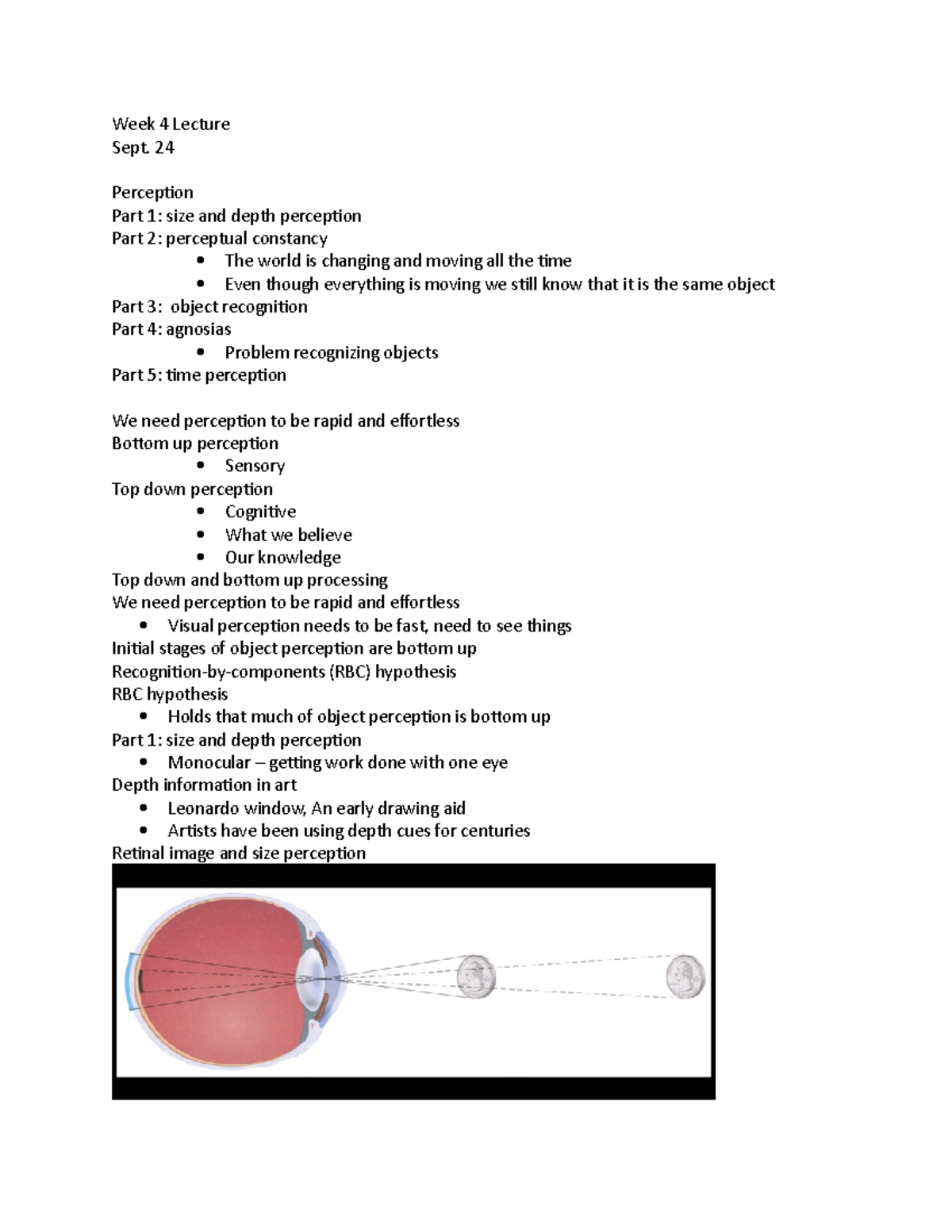 Week 4 Lecture - Perception - Week 4 Lecture Sept. 24 Perception Part 1: size and depth ...
