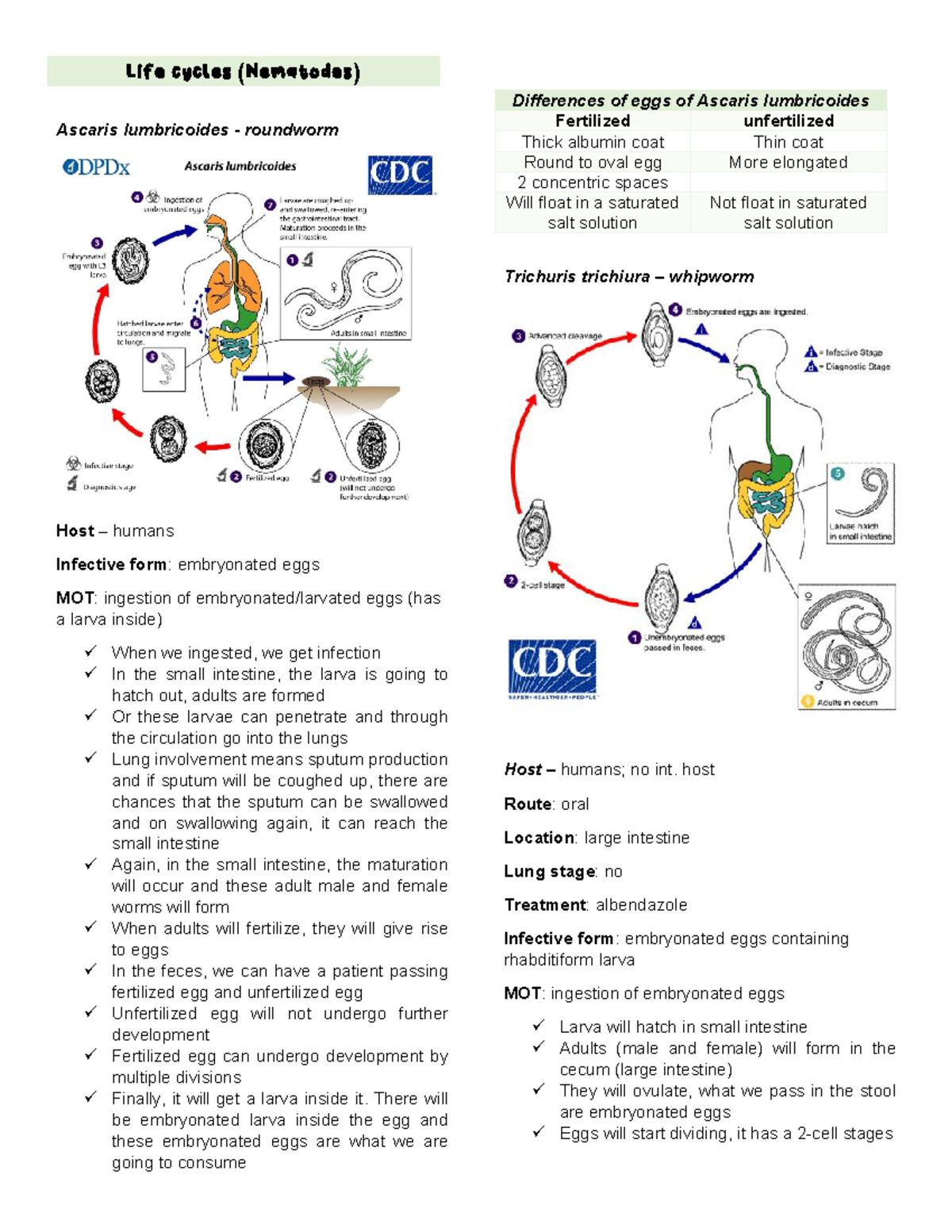 Life cycles (nematodes) - Life cycles (Nematodes) Ascaris lumbricoides ...