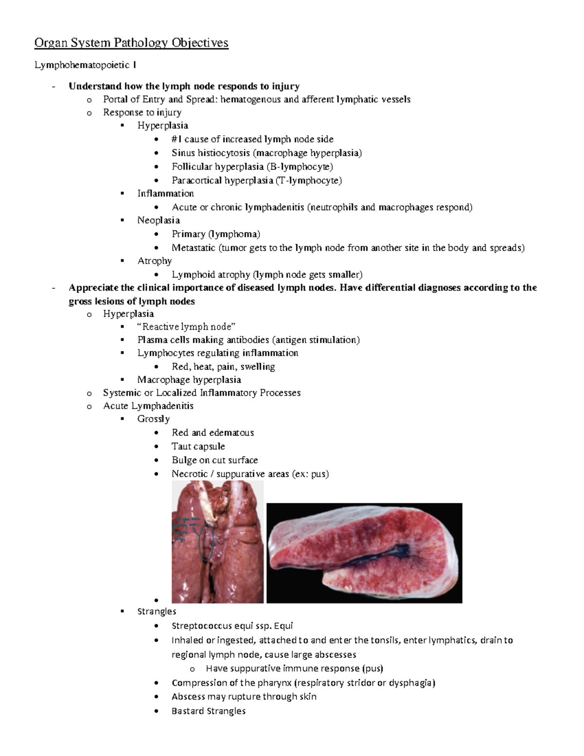 Organ Pathology - Midterm Objectives - Organ System Pathology ...