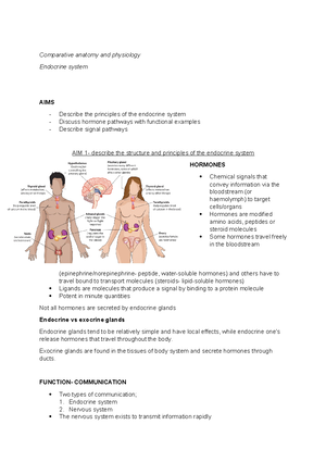 Homeostasis- thermoregulation - Comparative anatomy and physiology ...
