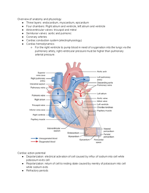 Tricks to Remember Normal Lab Values Nursing Chart, Nclex, Usmle Cheat ...