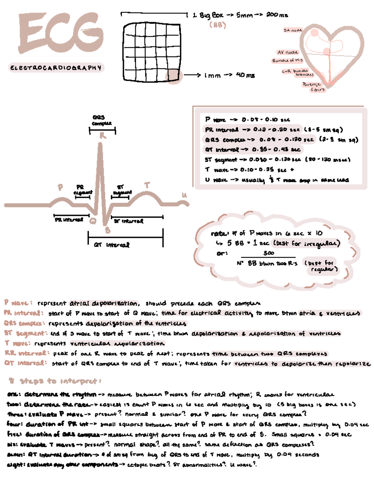 ECGs 2 - ecg summary - ECG ④ (BB ) 1- Bias → 5mm > zooms SAnode AVnode ...