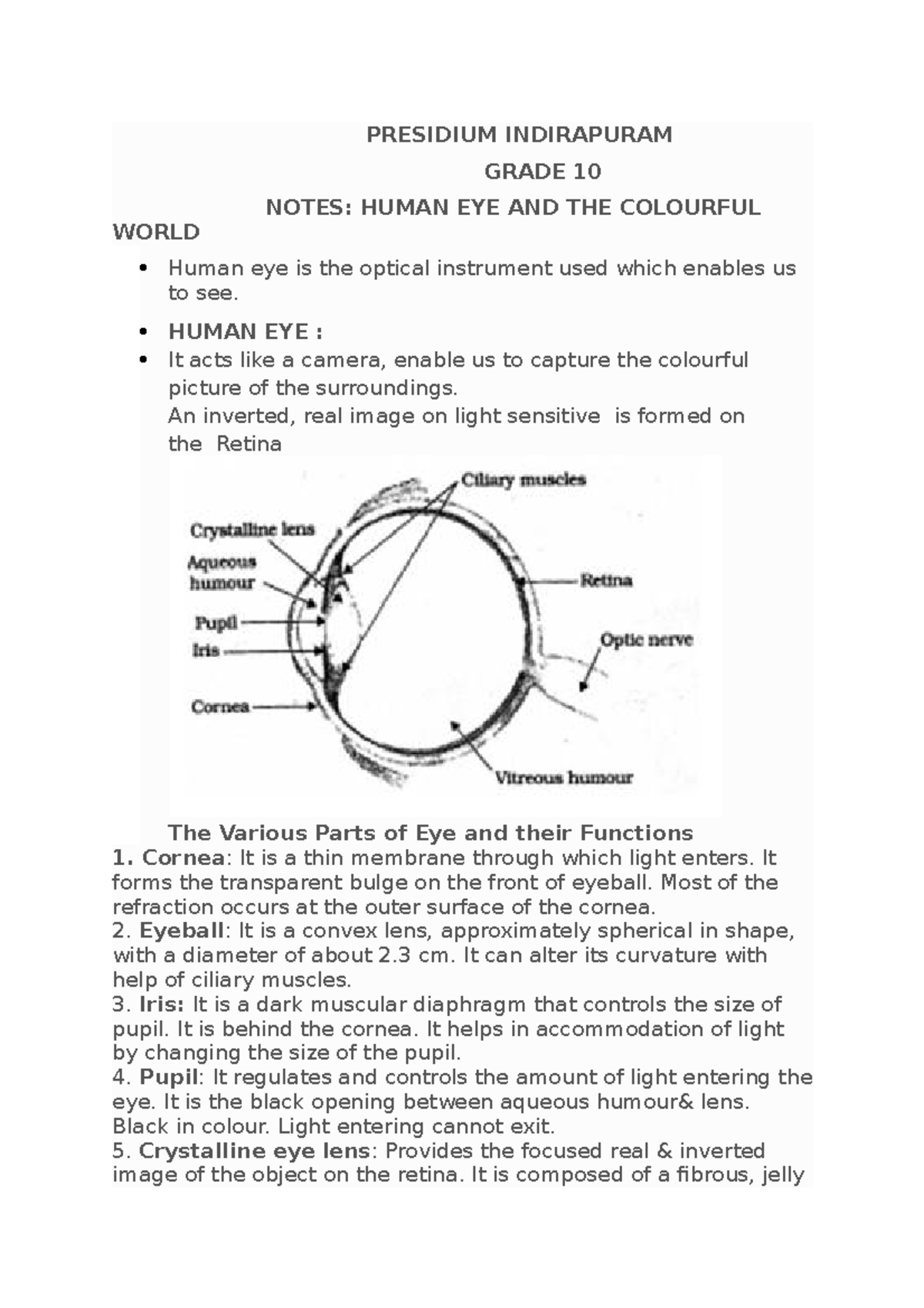 Anatomy and Physiology human eye - PRESIDIUM INDIRAPURAM GRADE 10 NOTES ...