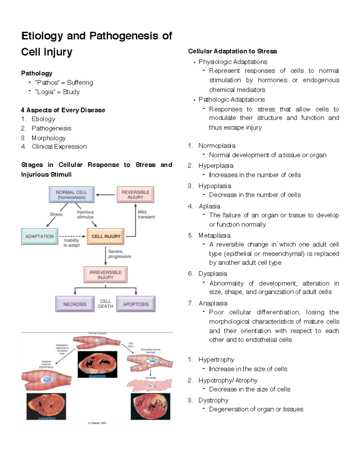 General Pathology Cellular Injury Etiology And Pathogenesis Of Cell