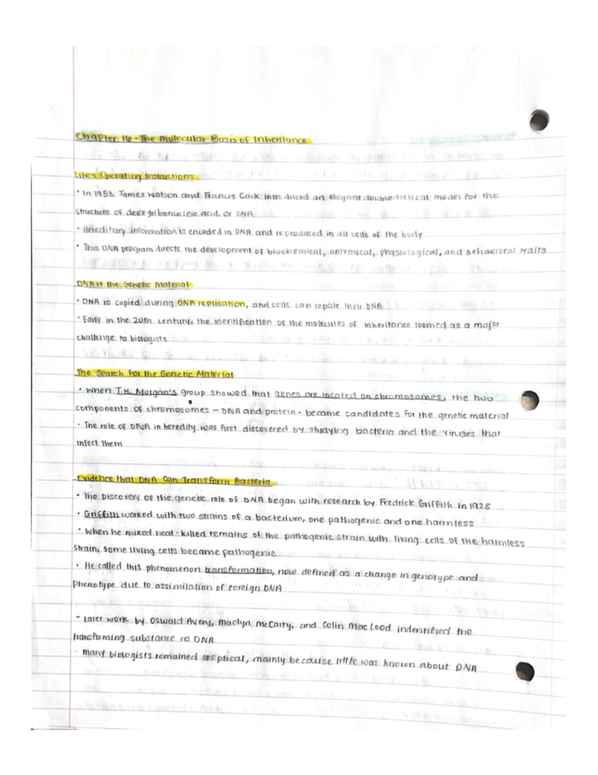 Biology 1 - The Molecular Basics Of Inheritance Part 1 - BIO 1134 - Studocu