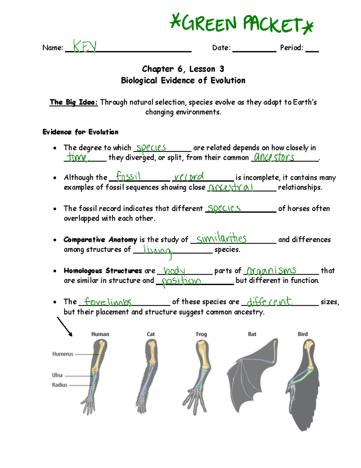 6.3 Notes key - Name: Date: Period: Chapter 6, Lesson 3 Biological ...