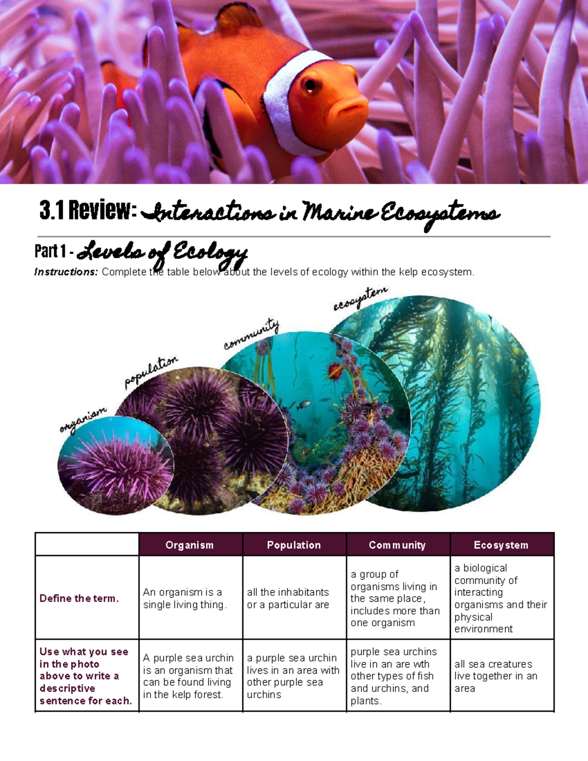 AICE Homework 3.1 Interactions - 3 Review: Interactions in Marine ...