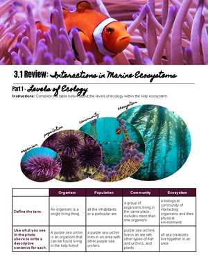 AICE Marine UNIT 2 Notes - 2 TECTONIC PROCESSES Tectonic plates earths ...