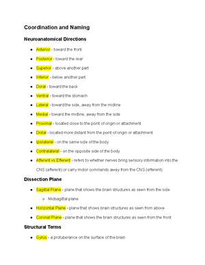 Lesson Eight Cortical Visual Processing - Organization of the Primary ...