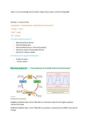 Week 2 molecular biology - Week 2 molecular biology The cell DNA DNA is ...