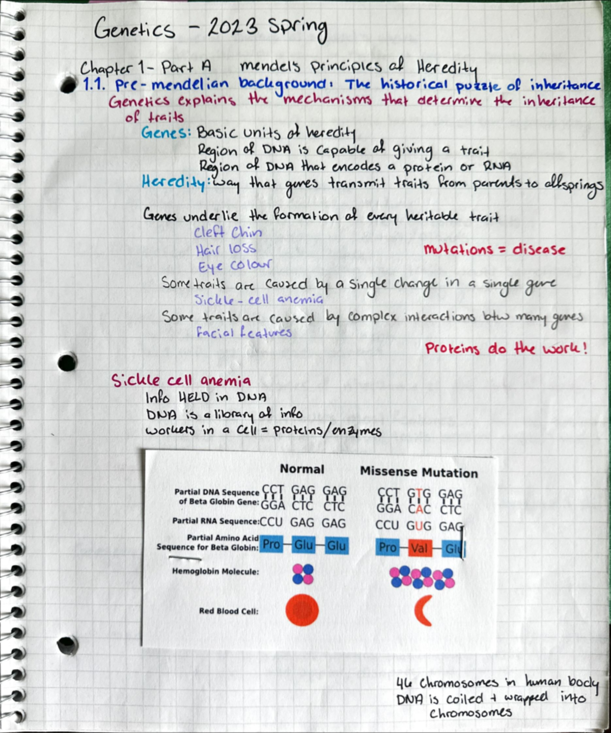 Genetics chapter 1 - Mendels principle of heredity - PCB 3060 - Studocu