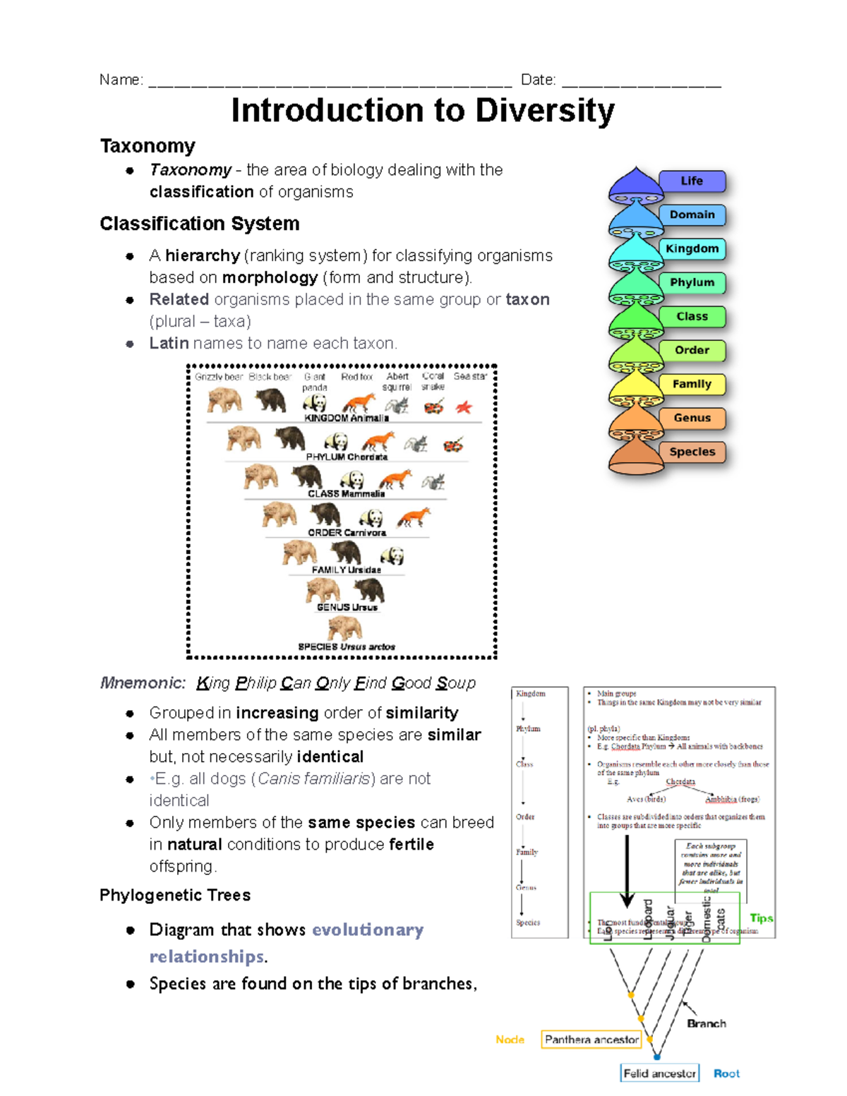 1. Introduction to Diversity - Rafia Ahmad - Name