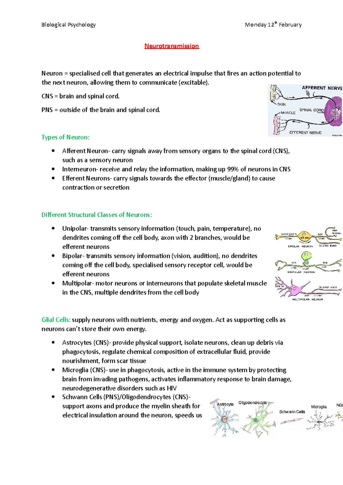 1st Year- Foundations in Biological Psychology- Lecture 2 - Monday 12th ...